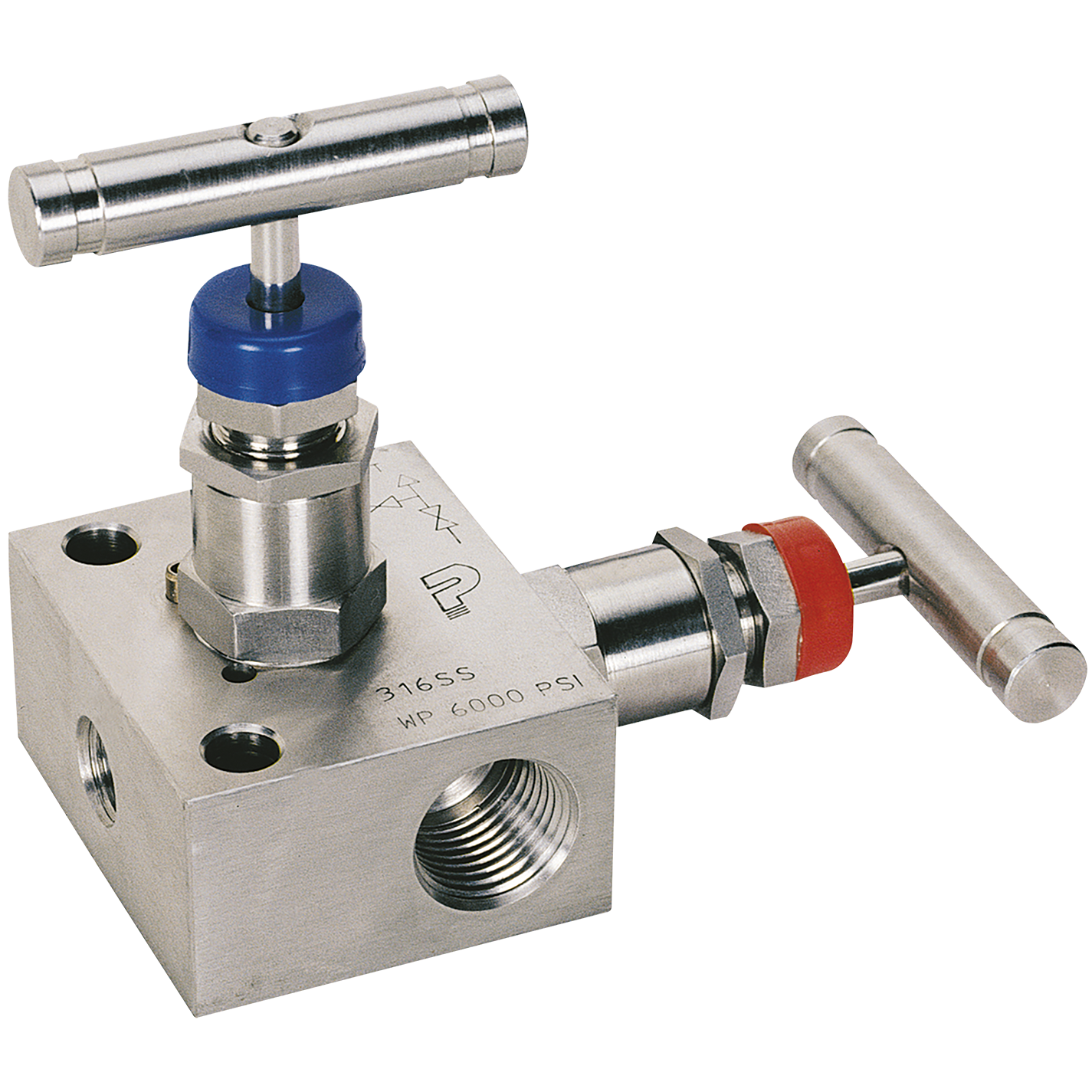 Panam P2VM-SS-8-R PANAM 2 VALVE MANIFOLD PIPE TO PIPE 1/2" NPT ...