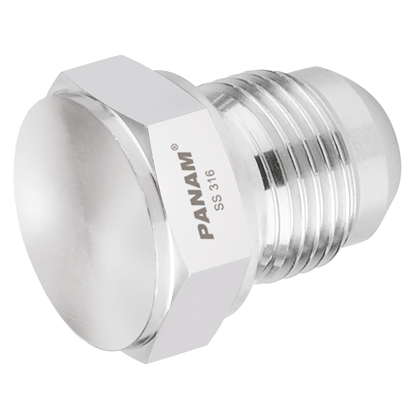 Panam 8J-P-10K PANAM 3/4" NPT 10KPSI 316 PLUG | Kempston Controls