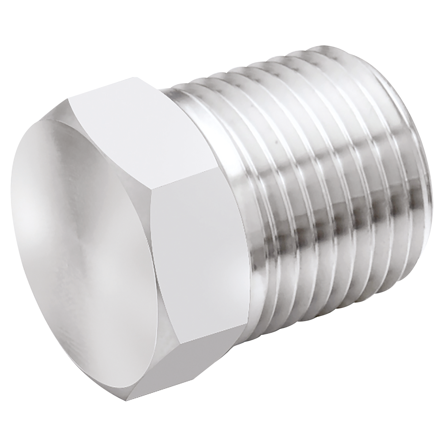 Panam 2025-2557 PANAM 1/2" BSPT MALE PLUG 316S.S HEX HEAD | Kempston ...