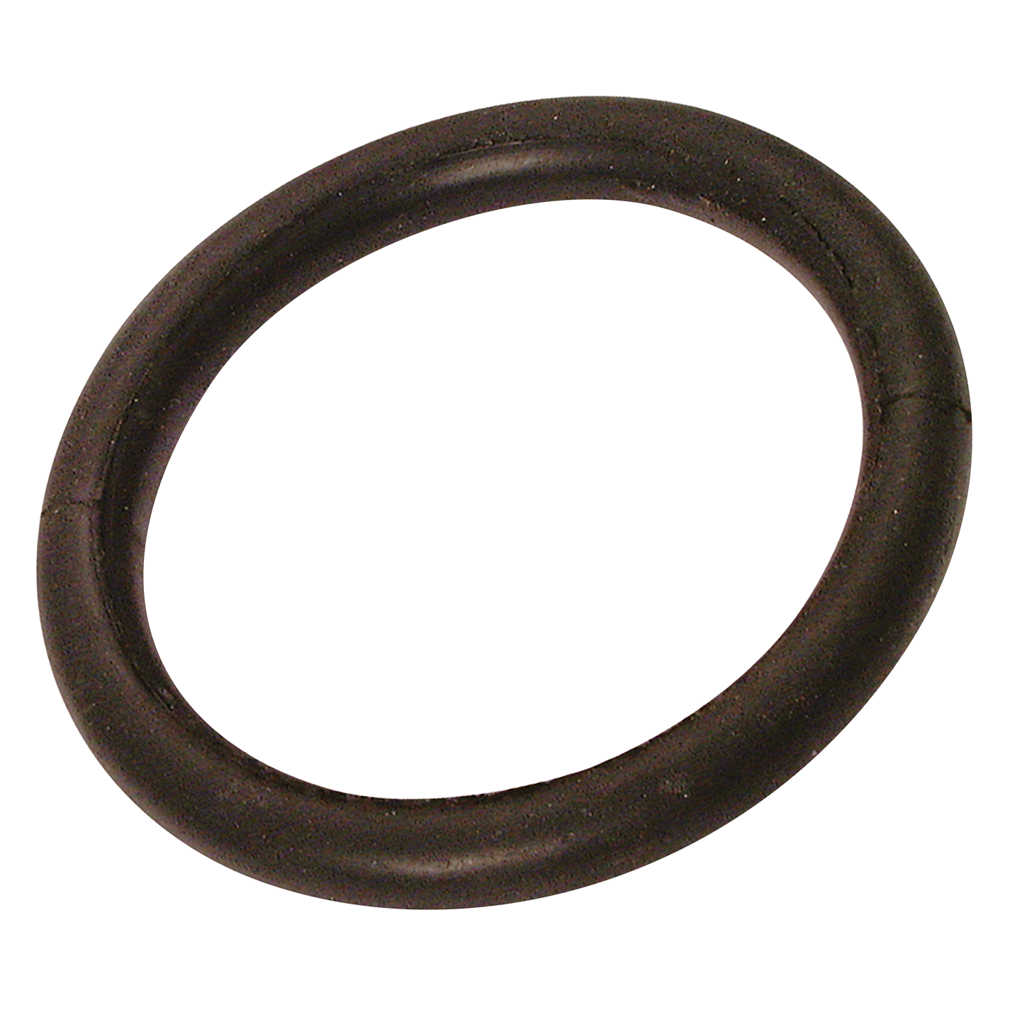 DALLAI LLOR5 DALLAI 5" LEVER LOCK O-RING 152 X 18 | Kempston Controls