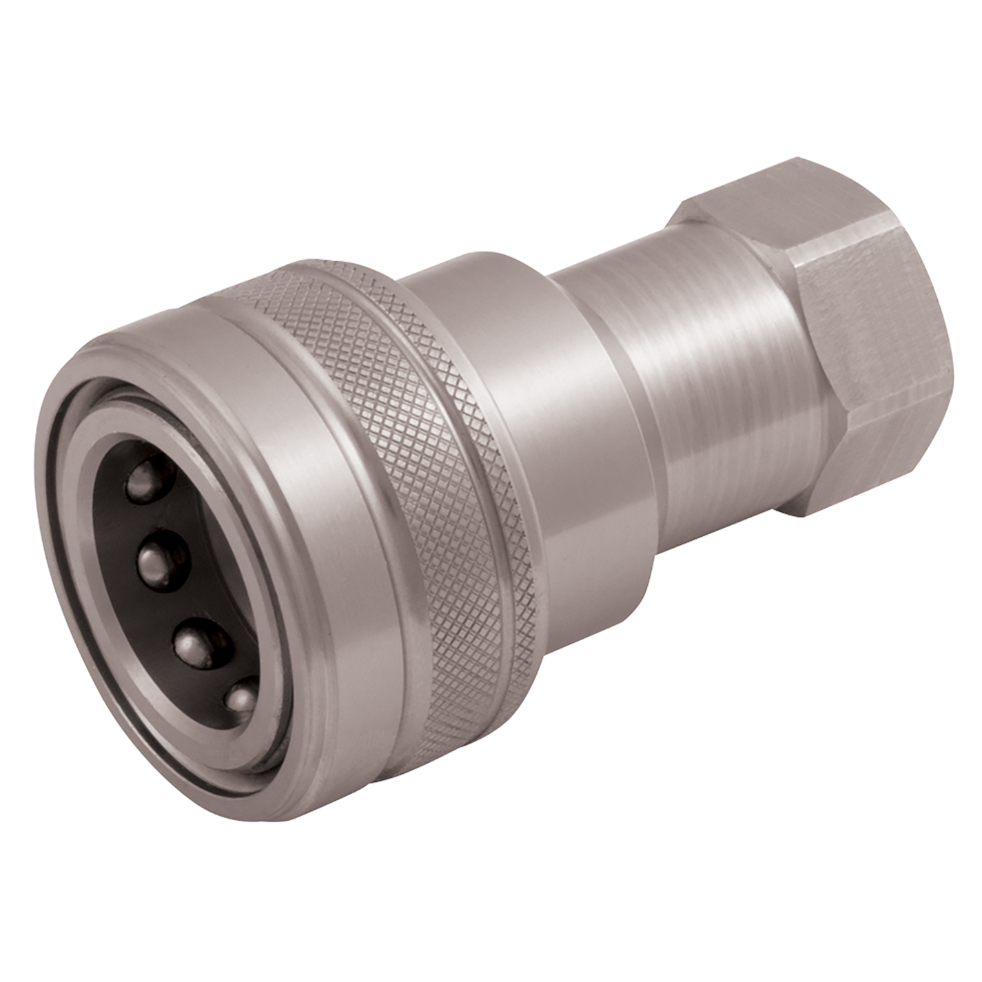 dnp PBV1.0606.002 DNP 1/4" BSP PARALLEL FEMALE COUPLING | Kempston Controls