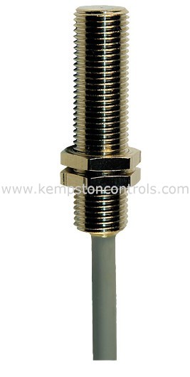 Steute RC-20 1S-ST 1M 5m prewired cable version. | Kempston Controls