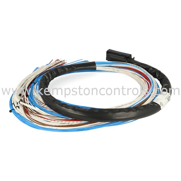 IFM EC0711 IFM CONNECTING CABLE WITH AMP CONNECTOR, 2.5M, IP67, 36DC ...