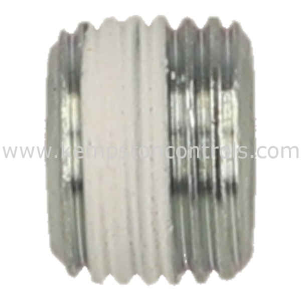 SMC PLUG1/8 SMC N/PLATED BLANKING PLUG 1/8 | Kempston Controls