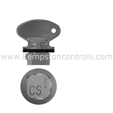 Castell FK4-NI-05E NICKEL PLATED KEY SYMBOL 05E | Kempston Controls