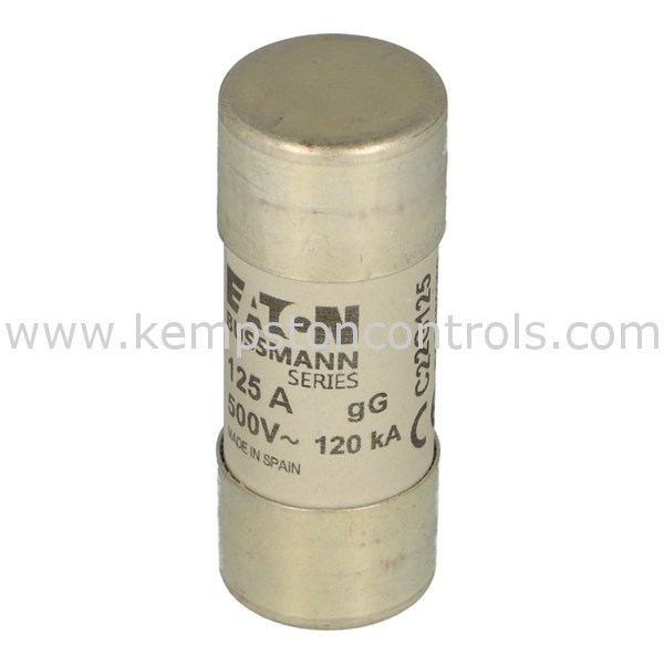Bussmann C22G125 FUSE 22X58 GG 500V 125A | Kempston Controls