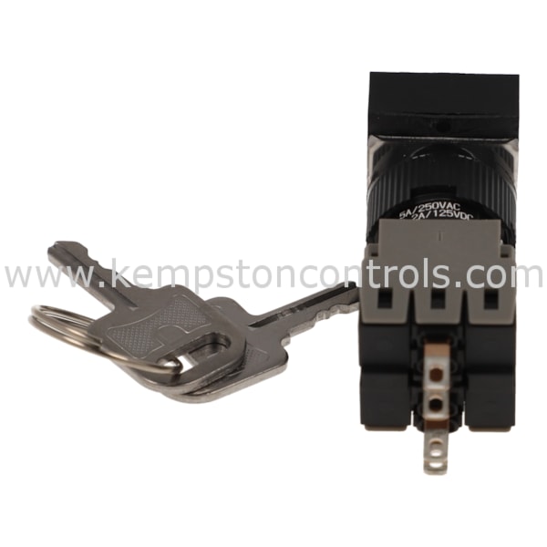 Fuji AH165-J2A11B FUJI SELECTOR SWITCH KEY, RECTANGULAR BEZEL 2 POS ...