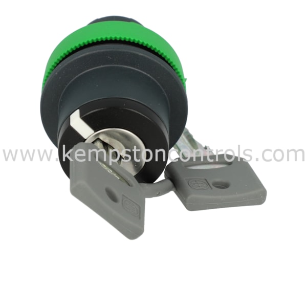 Schneider ZB5FG2 SCHNEIDER HEAD FOR KEY SELECTOR SWITCH, HARMONY XB5, HARMONY XALF, FLUSH ...