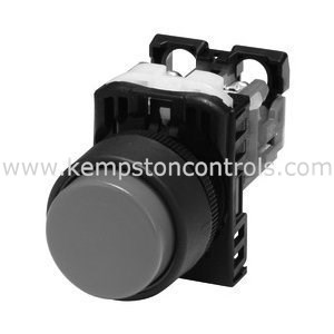 Fuji AR22E0R-10S PUSHBUTTON EXTENDED ROUND HEAD 1N/O BLUE | Kempston ...