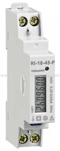 Rayleigh Instruments RI-18-45-P RAYLEIGH INSTRUMENTS MID B AND D ...
