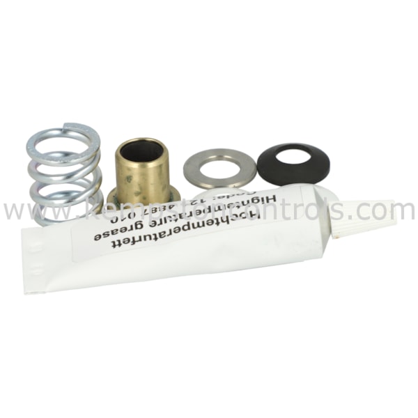 Johnson Controls 1214393011 JOHNSON CONTROLS PACKING KIT DN15...40 ...