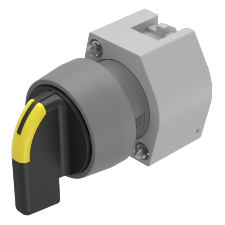 EAO 704.100.0I EAO SELECTOR SWITCH-ACTUATOR ILLUMINATED 2 POSITIONS 12 ...