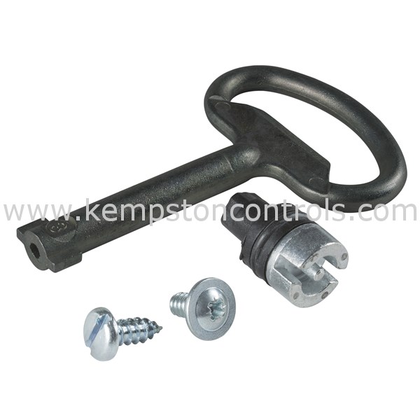 Schneider NSYTDBCRN SCHNEIDER SAREL LOCK 3MM DOBLE BARR INSERT ...