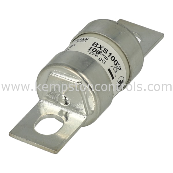 Bussmann BXS100 BUSSMANN (GE) FUSE, 100AMP FUSE LINK FOR SASIL FUSE ...
