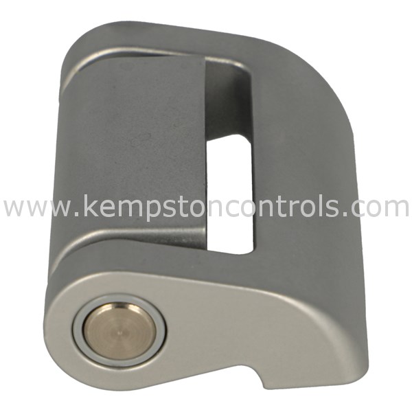 Pizzato HC LL PIZZATO 'PALLADIO' DUMMY HINGE TO MATCH HP INTEGRATED ...
