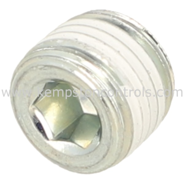 SMC PLUG1/4 SMC 1/4" BLANKING PLUG | Kempston Controls