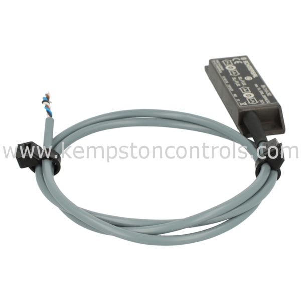 Schmersal BN310-2RZ SCHMERSAL MAGNETIC REED SWITCH, 2 REED CONTACTS, 2 ...