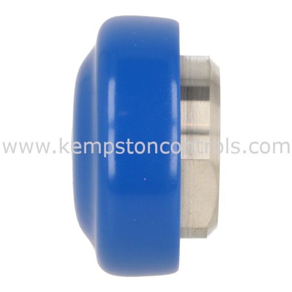 Baumer ZPH1-5213 BAUMER HYGIENIC ADAPTOR, G 1 A HYGIENIC A04 INSTRUMENT CONNECTION, 40 BAR MAX ...