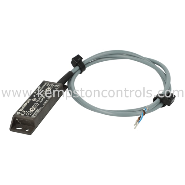 Schmersal BN310-2RZ SCHMERSAL MAGNETIC REED SWITCH, 2 REED CONTACTS, 2 ...