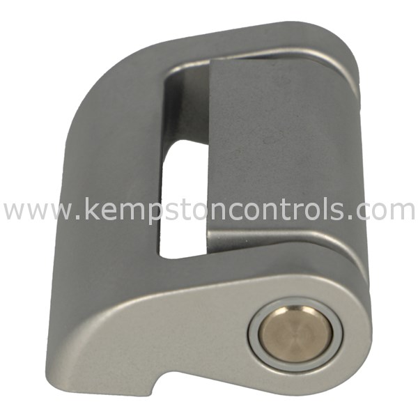 Pizzato HC LL PIZZATO 'PALLADIO' DUMMY HINGE TO MATCH HP INTEGRATED ...